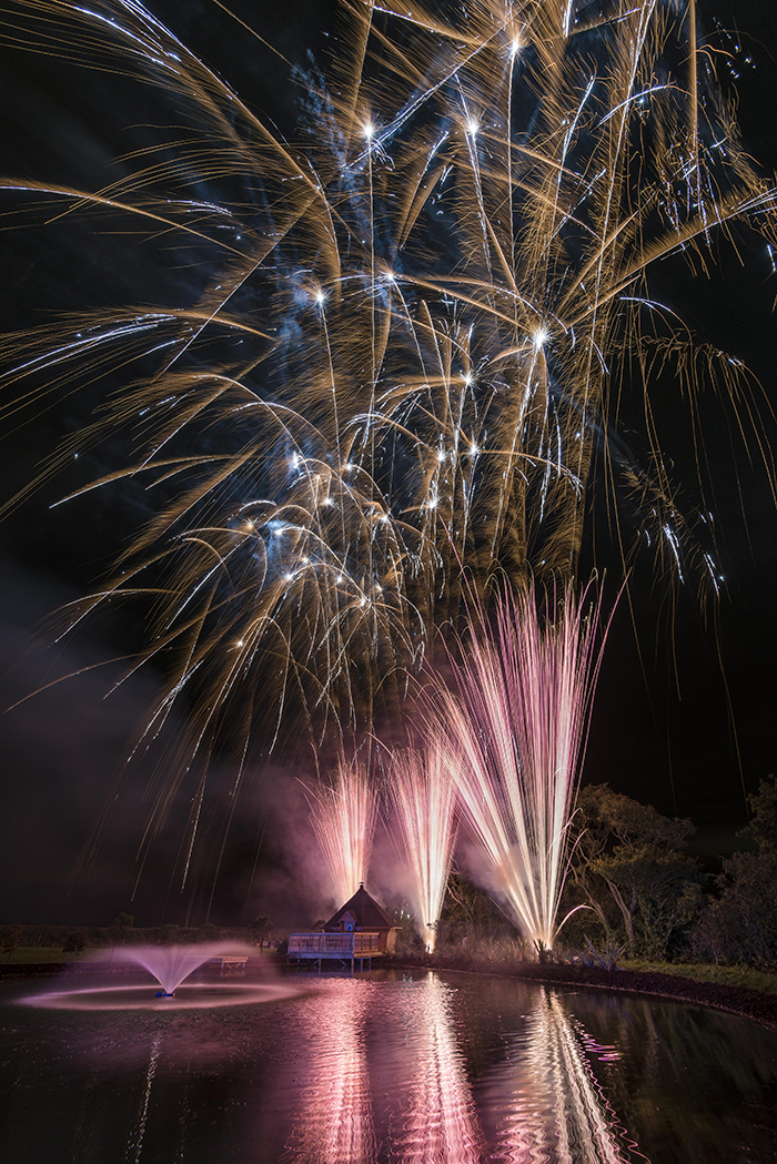 Private Event - Firework Champions